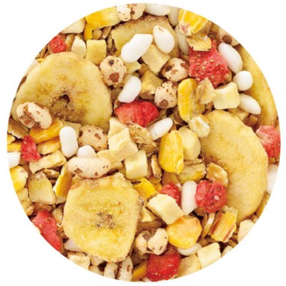 Gex Granola Fruits Mix Rabbit Treats 180g | Kohepets