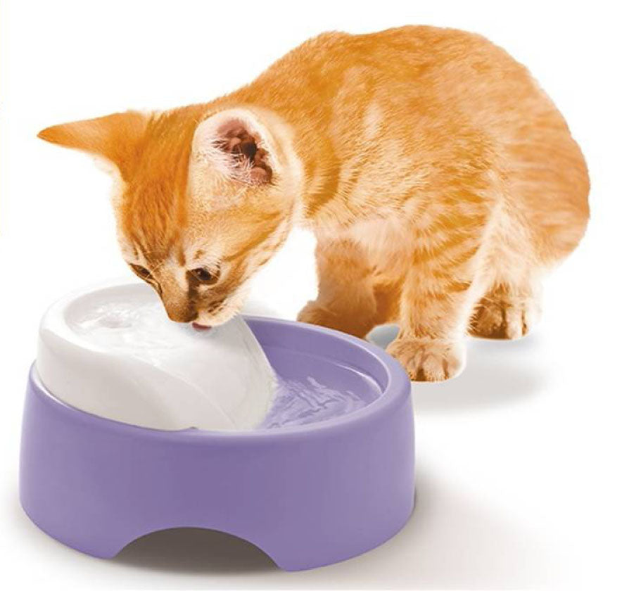 GEX Pure Crystal Clear Flow Drinking Fountain For Cats 950ml | Kohepets