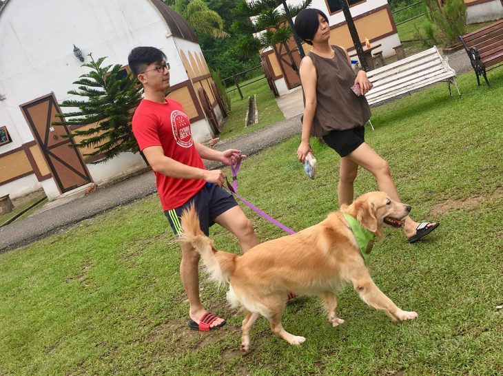 Bark-A-Tree Scavenger Hunt @ Punggol Ranch (15 July 2017) | Kohepets
