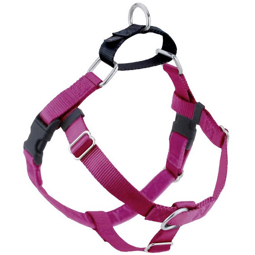 2 Hounds Design Freedom No-Pull Dog Harness & Leash - Raspberry | Kohepets