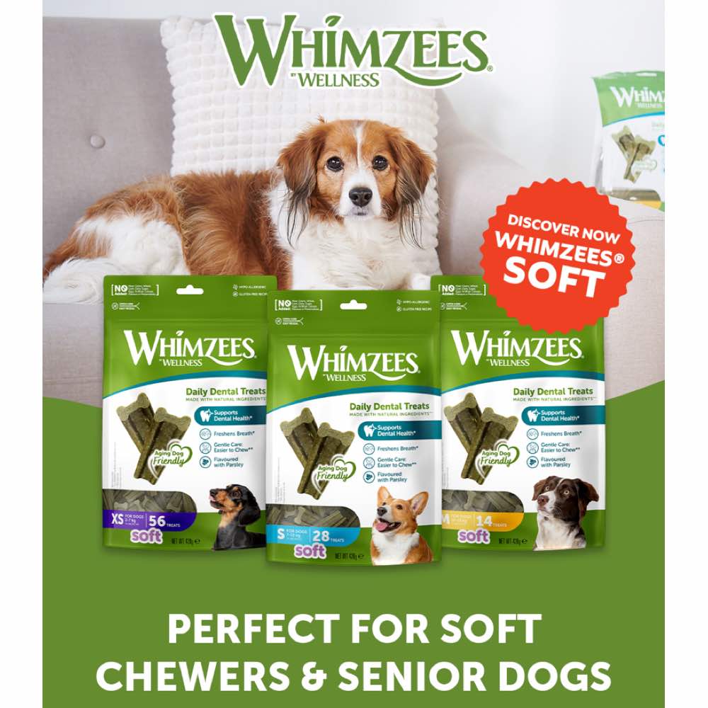 Whimzees Toothbrush Grain-Free Dental Dog Treats Trial Pack 210g | Kohepets