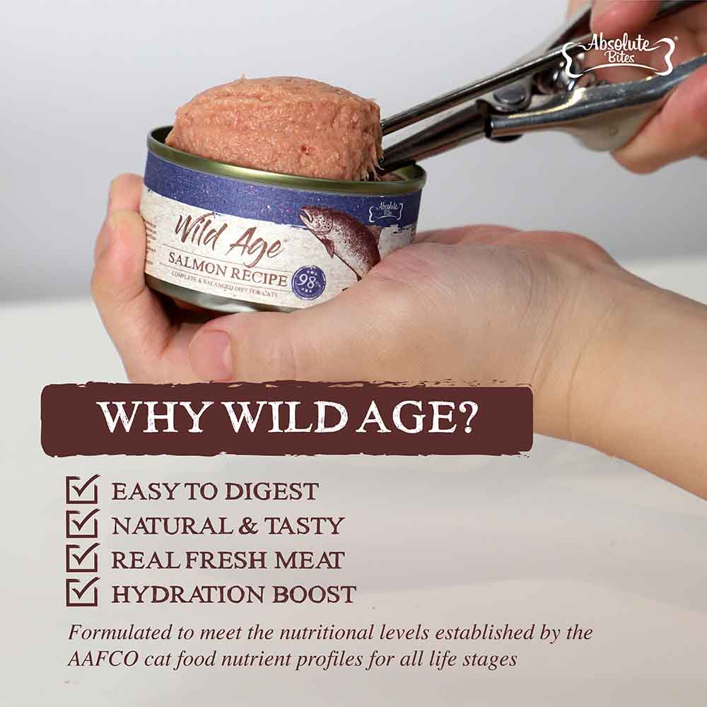 Absolute Bites Wild Age Salmon Complete & Balanced Diet Canned Cat Food ...