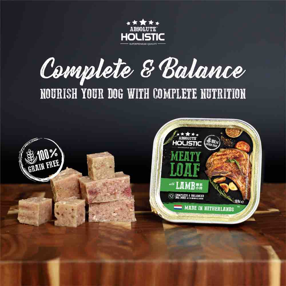 Absolute Holistic Lamb Complete & Balanced Meaty Loaf Wet Tray Dog Food ...