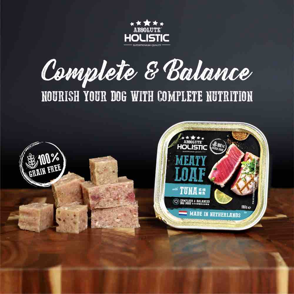 Absolute Holistic Tuna Complete & Balanced Meaty Loaf Wet Tray Dog Food ...