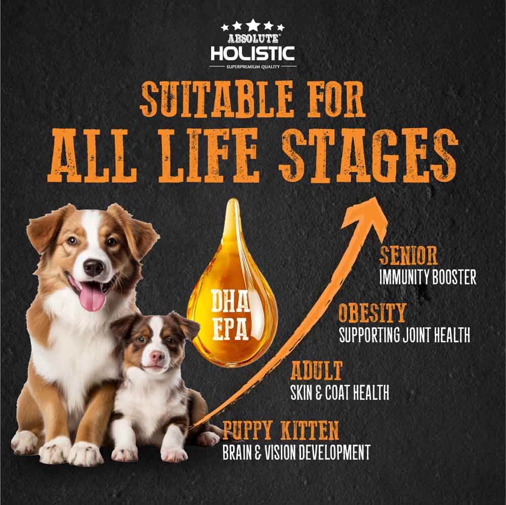 Absolute Holistic Wild Salmon Fish Oil Natural Pet Supplement for Cats ...
