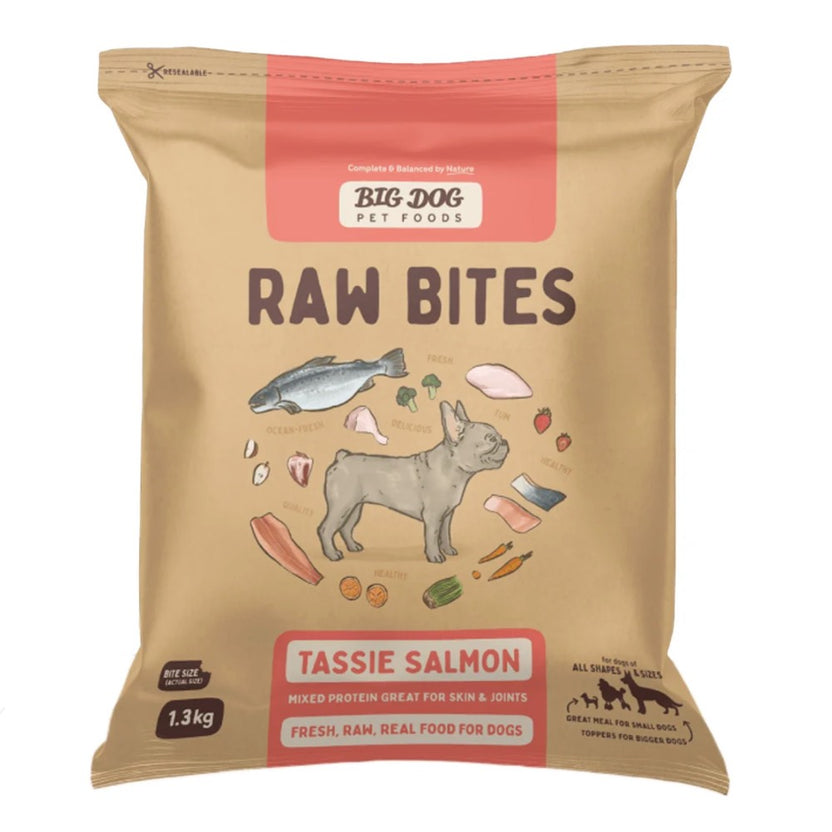 Big Dog Raw Bites Salmon Dog Food | Kohepets