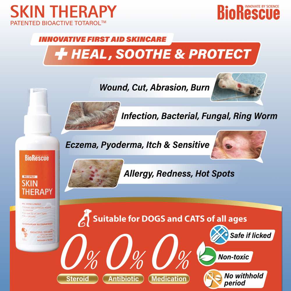 BioRescue Skin Therapy Spray For Cats & Dogs 120ml | Kohepets