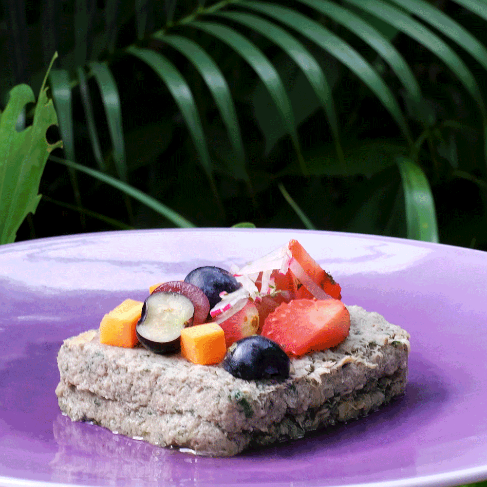 Exclusive Kohepets Dining Experience