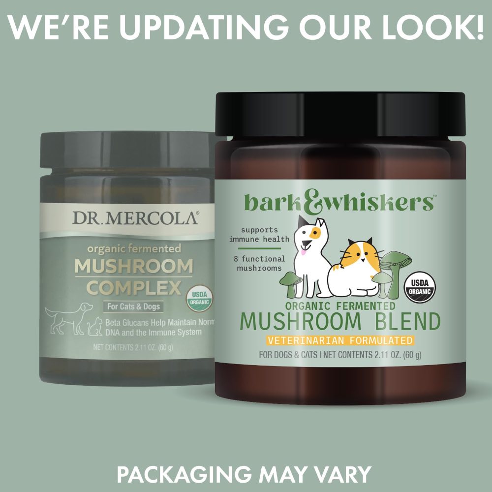 Dr Mercola Organic Mushroom Complex Pet Supplement 2.1oz | Kohepets