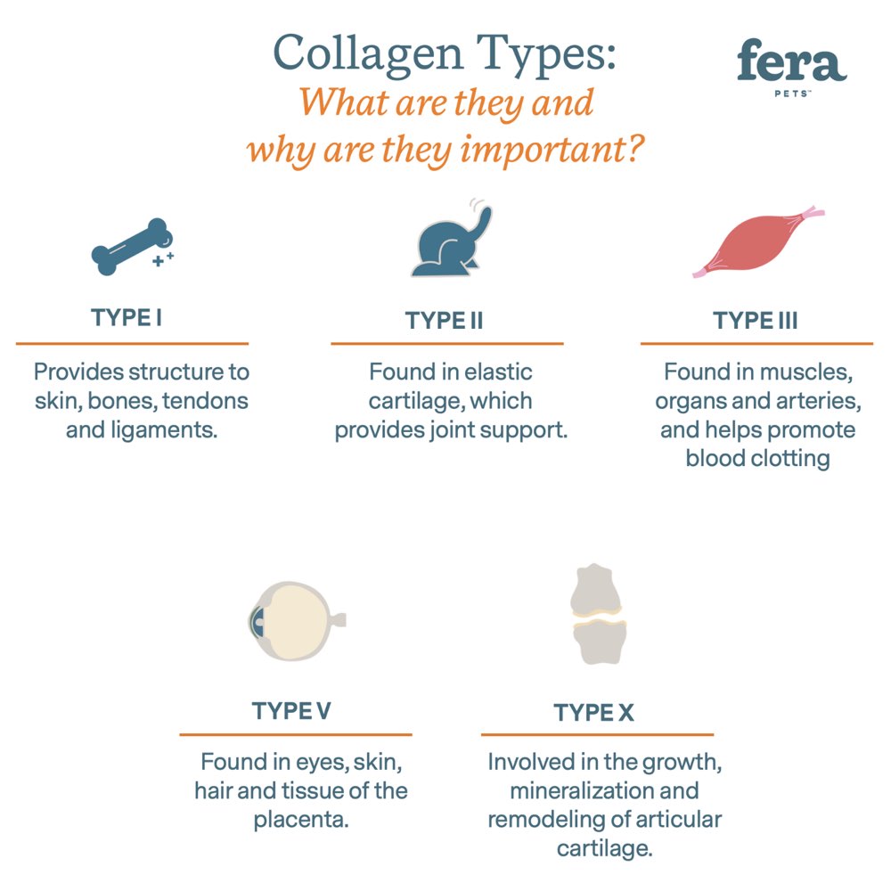 Fera Pets Collagen Plus Supplement Powder For Cats & Dogs 4.23oz | Kohepets