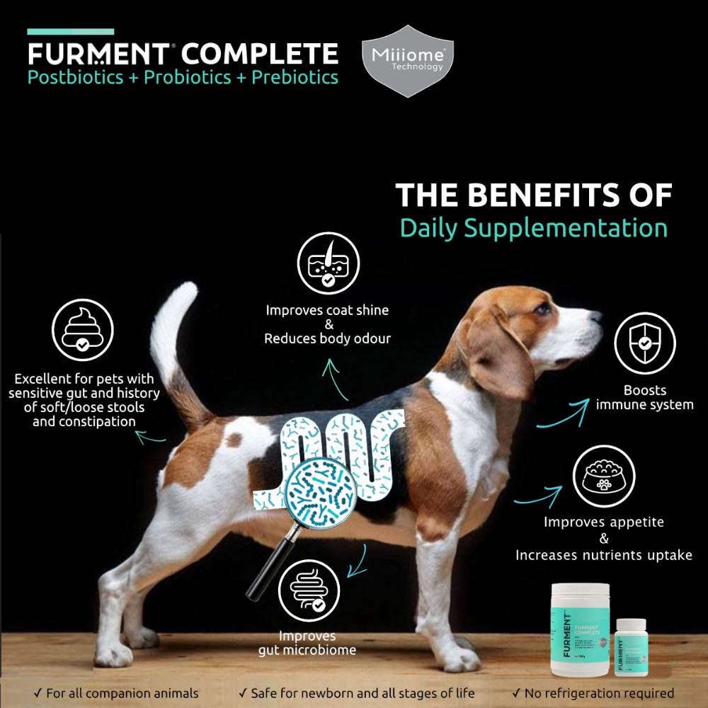 Furment Complete Supplement For Pets 50g | Kohepets