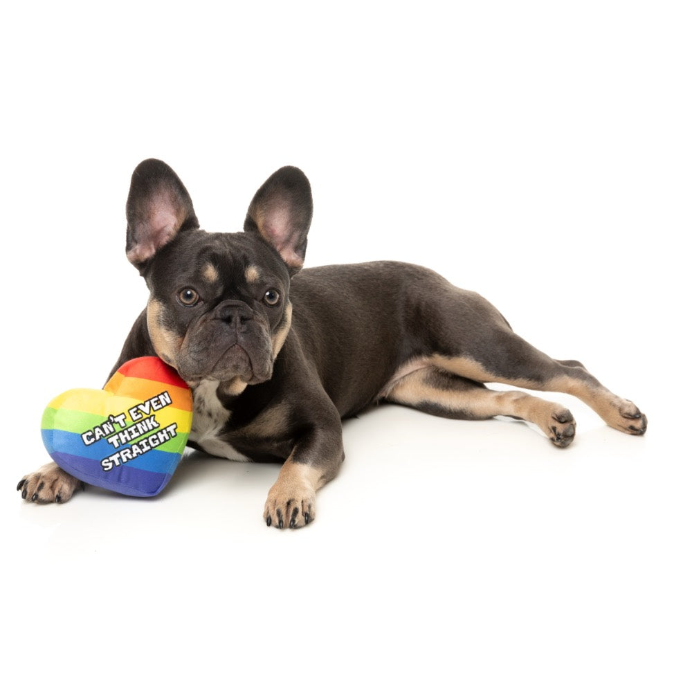 15% OFF: FuzzYard Can't Think Straight Dog Toy | Kohepets