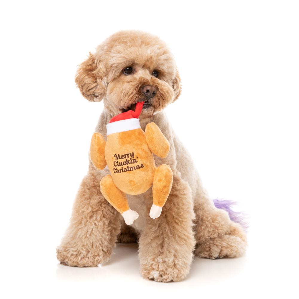 FuzzYard Christmas Merry Cluckin' Christmas Plush Dog Toy | Kohepets