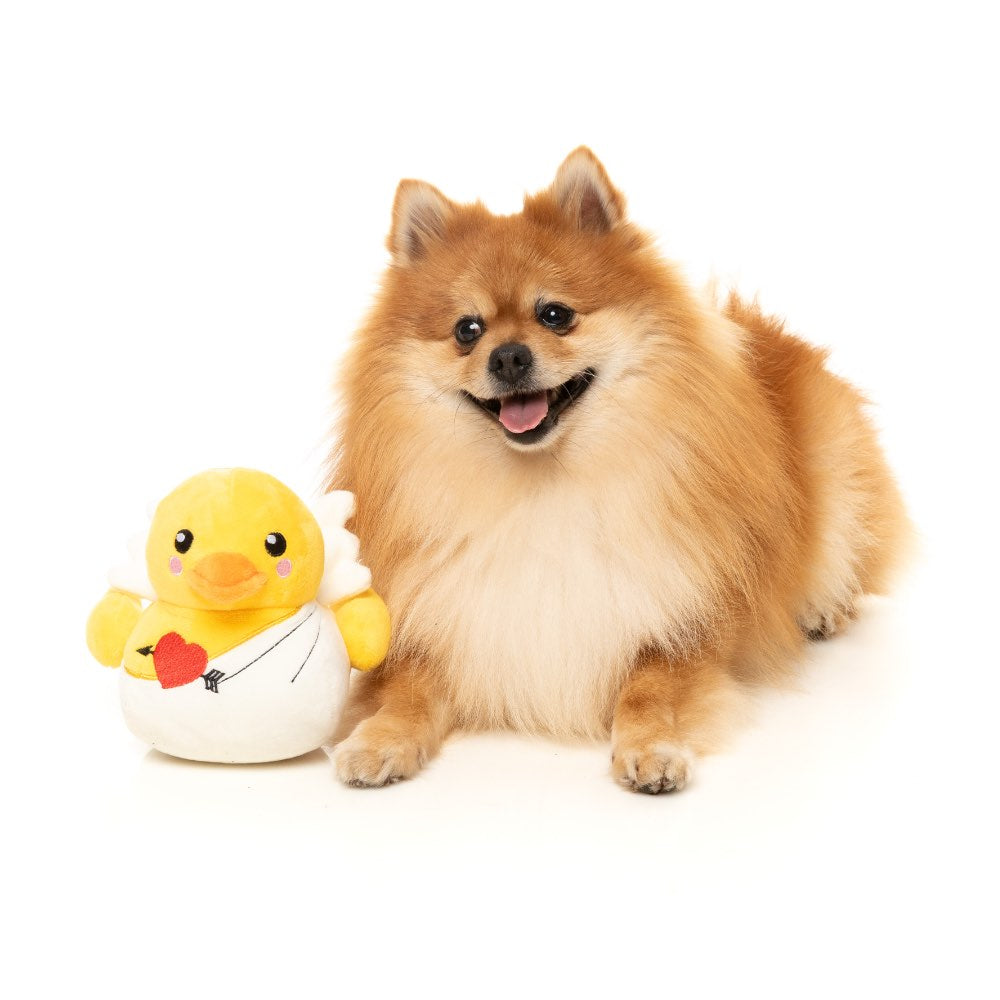 15% OFF: FuzzYard Cupid Duck Dog Toy | Kohepets