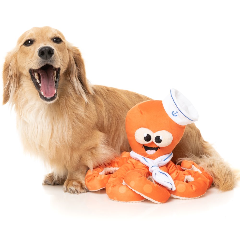 FuzzYard Octo-Posse Sailor Squiggles Plush Dog Toy | Kohepets