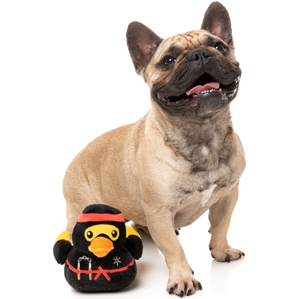 FuzzYard Quackie Chan Plush Dog Toy | Kohepets