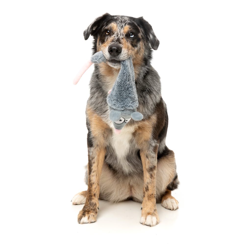 FuzzYard Rack Off Rat Dog Toy | Kohepets