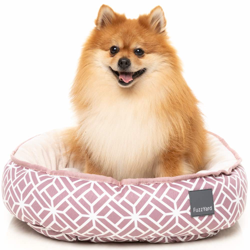 FuzzYard Reversible Dog Bed (Edessa) | Kohepets