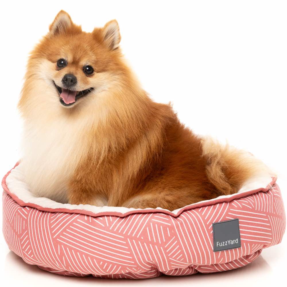 FuzzYard Reversible Dog Bed (Thornbury Brick Red) | Kohepets