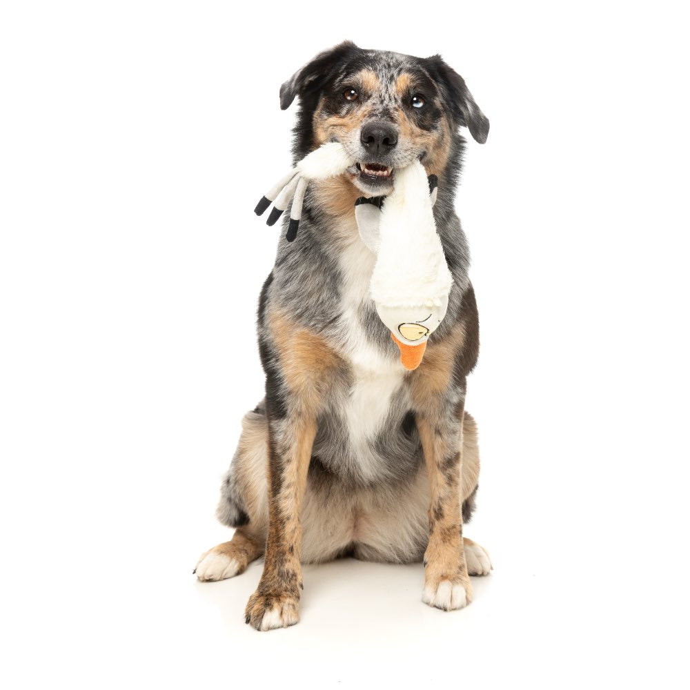 15% OFF: FuzzYard See-ya Seagull Dog Toy | Kohepets