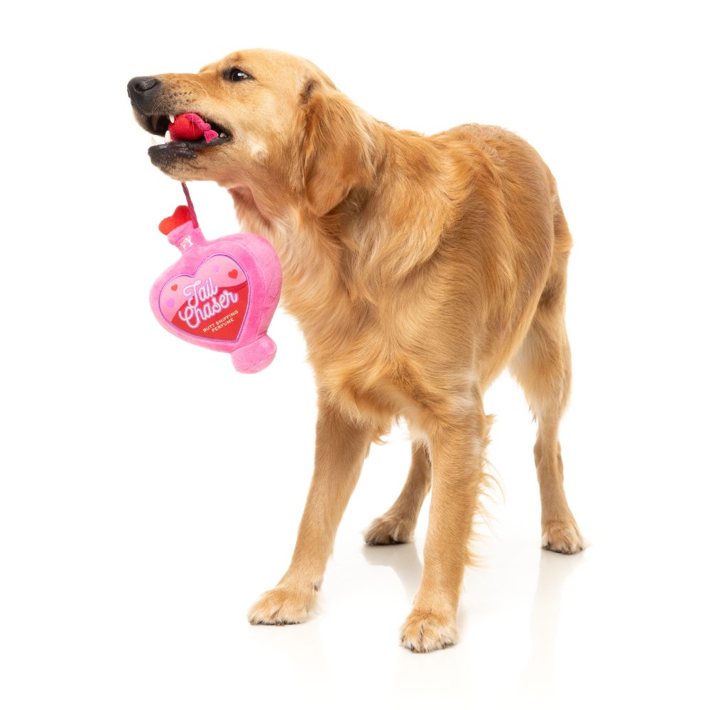 15% OFF: FuzzYard Tail Chaser Perfume Dog Toy | Kohepets