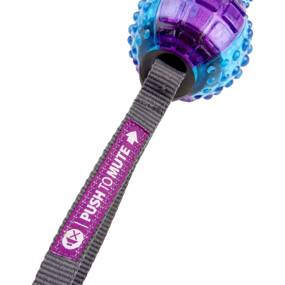 GiGwi Push To Mute Dumbbell Dog Toy (Purple/Blue) | Kohepets