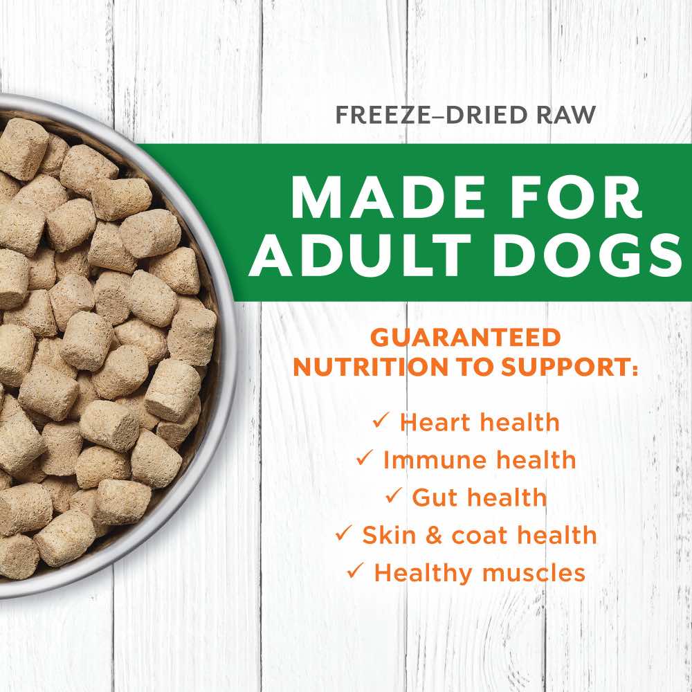 Instinct Raw Longevity Lamb Grain-Free Adult Freeze-Dried Raw Dog Food ...