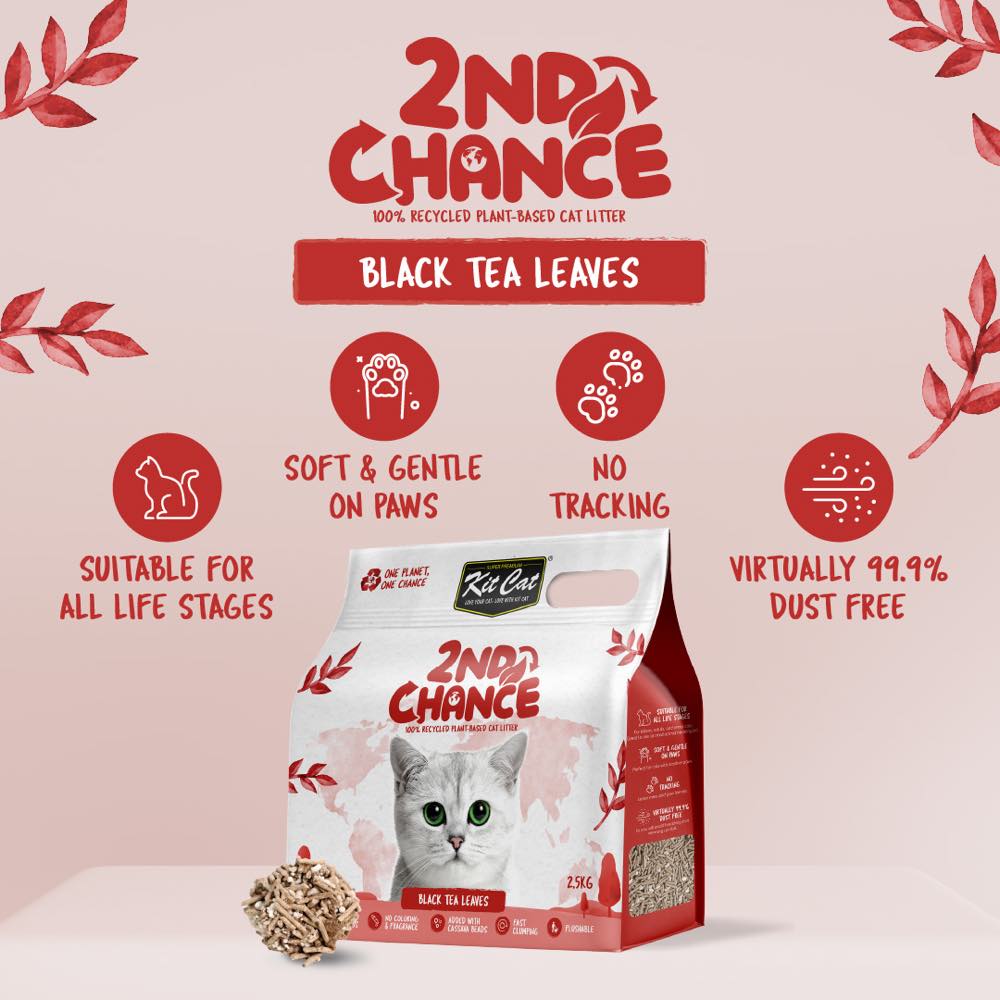 Kit Cat 2nd Chance Black Tea Leaves Clumping Cat Litter 2.5kg | Kohepets