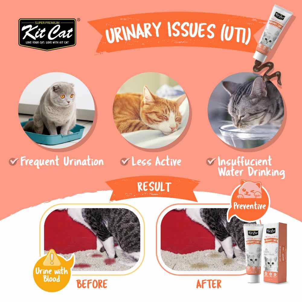 Kit Cat Urinary Care Daily Nutritional Supplement Gel For Cats | Kohepets