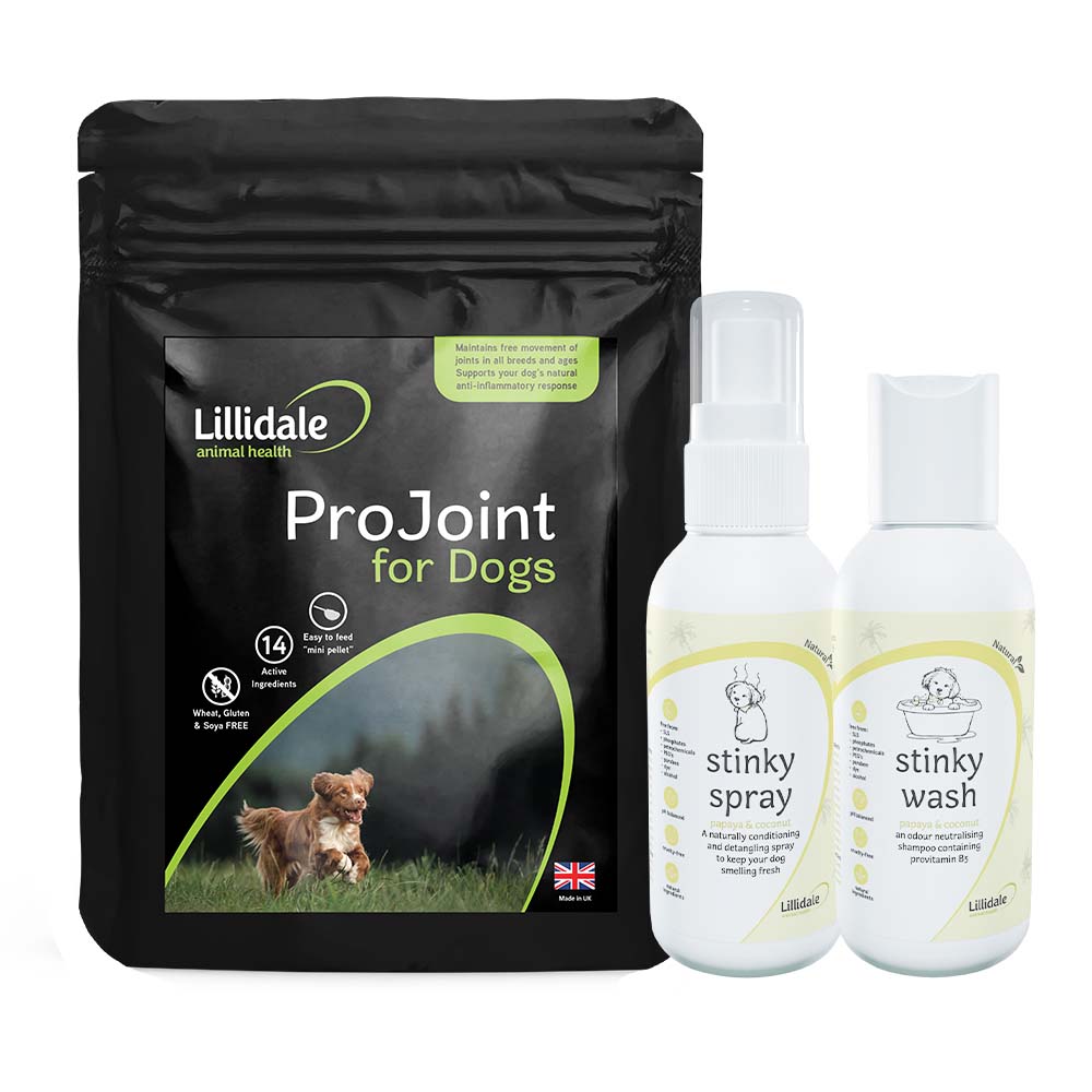 Lillidale Active Kit Dog Trial Box | Kohepets