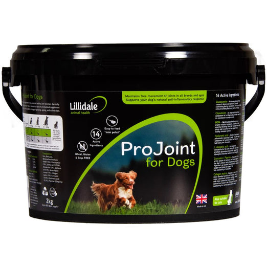 Lillidale ProJoint Joint Dog Supplement | Kohepets