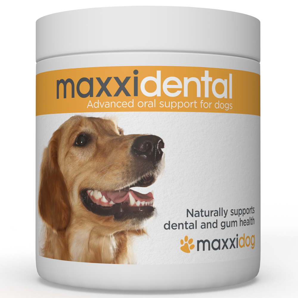 Maxxipaws MaxxiDental Oral Support Supplement For Dogs 140g | Kohepets