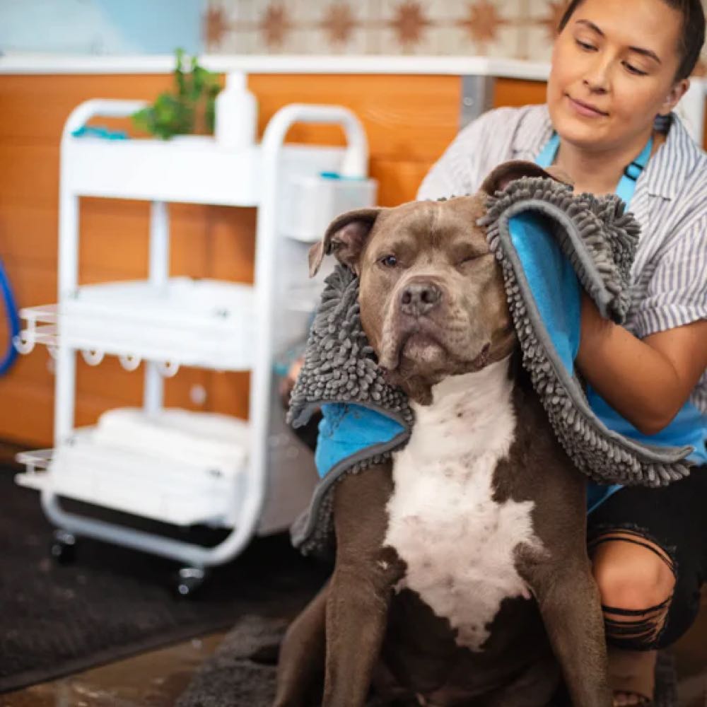 Messy Mutts Microfiber Dog Drying Mat & Towel With Hand Pockets | Kohepets