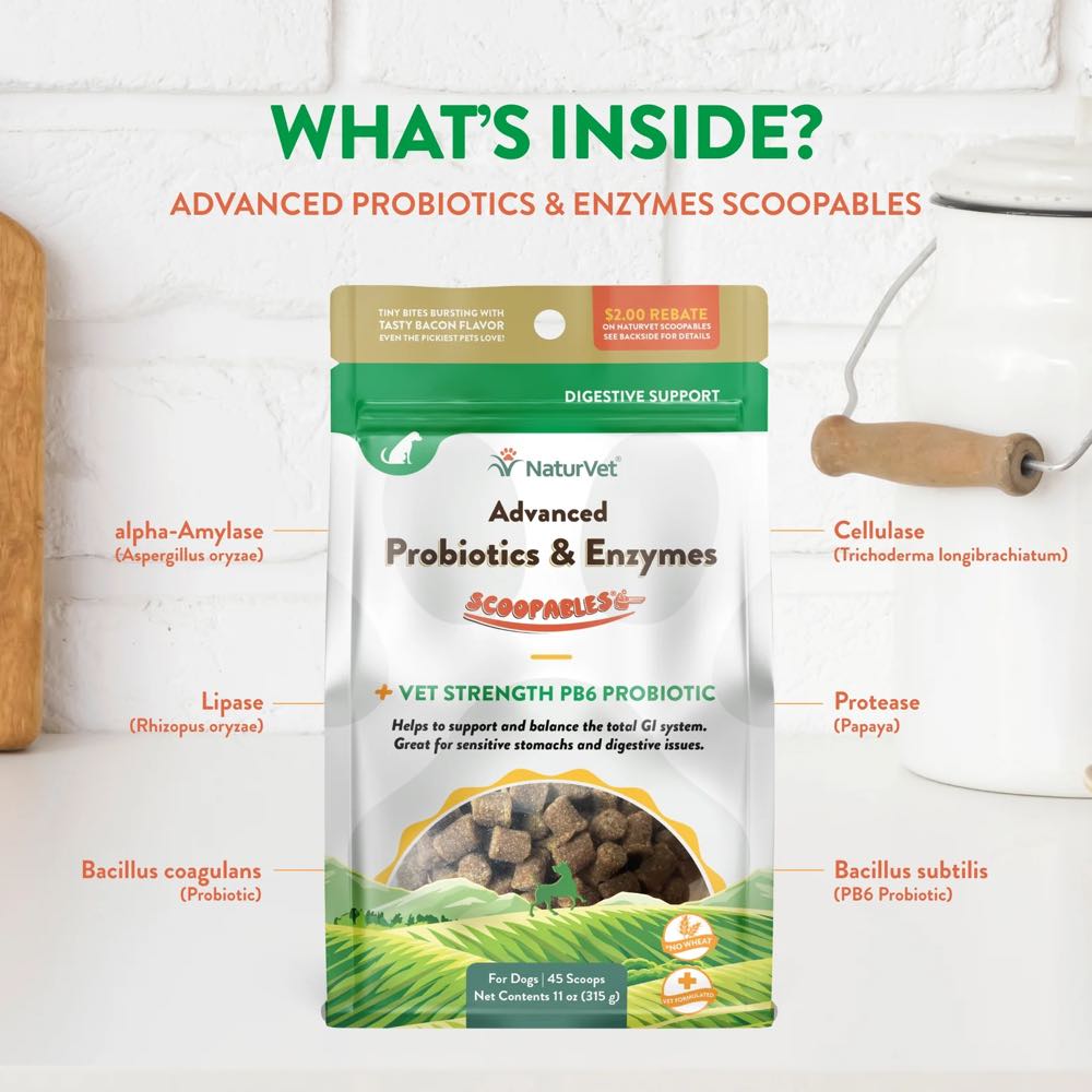 NaturVet Scoopables Advanced Probiotics & Enzymes Digestive Support Dog ...
