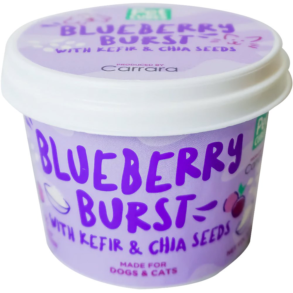 PetCubes Blueberry Burst Ice Cream | Kohepets