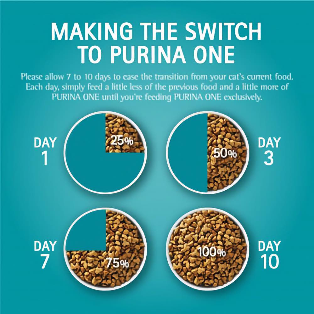Purina One Adult Hairball Control with Chicken Dry Cat Food | Kohepets