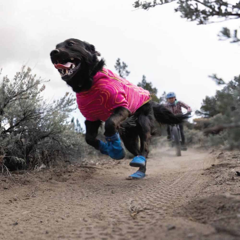 Ruffwear Hi & Light Trail Dog Shoes (Blue Pool) | Kohepets