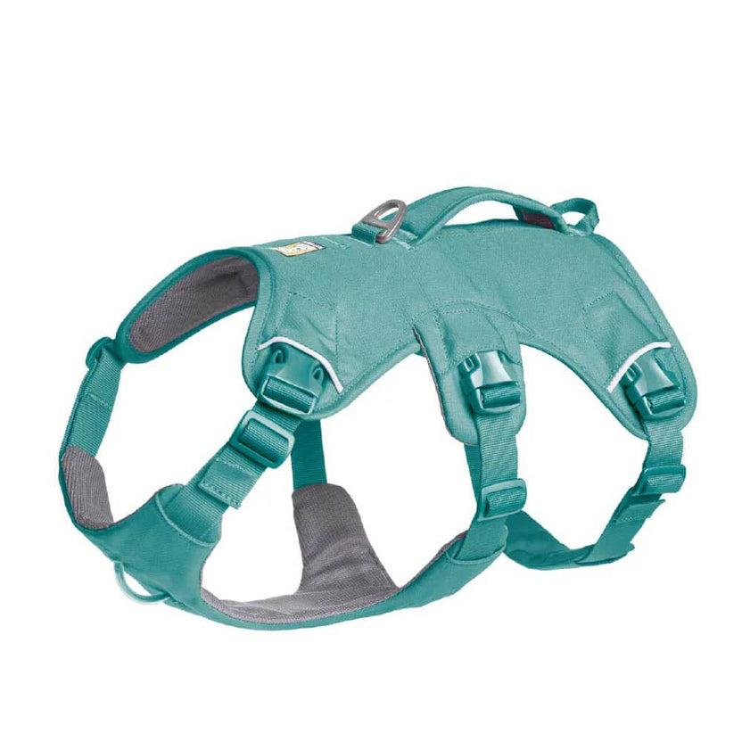 KOHE-VERSARY 10% OFF: Ruffwear Web Master Secure Multi-Function Handle ...