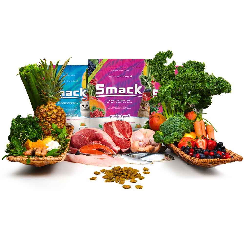 Smack Pacific Fish Feast Raw Dehydrated Cat Food | Kohepets