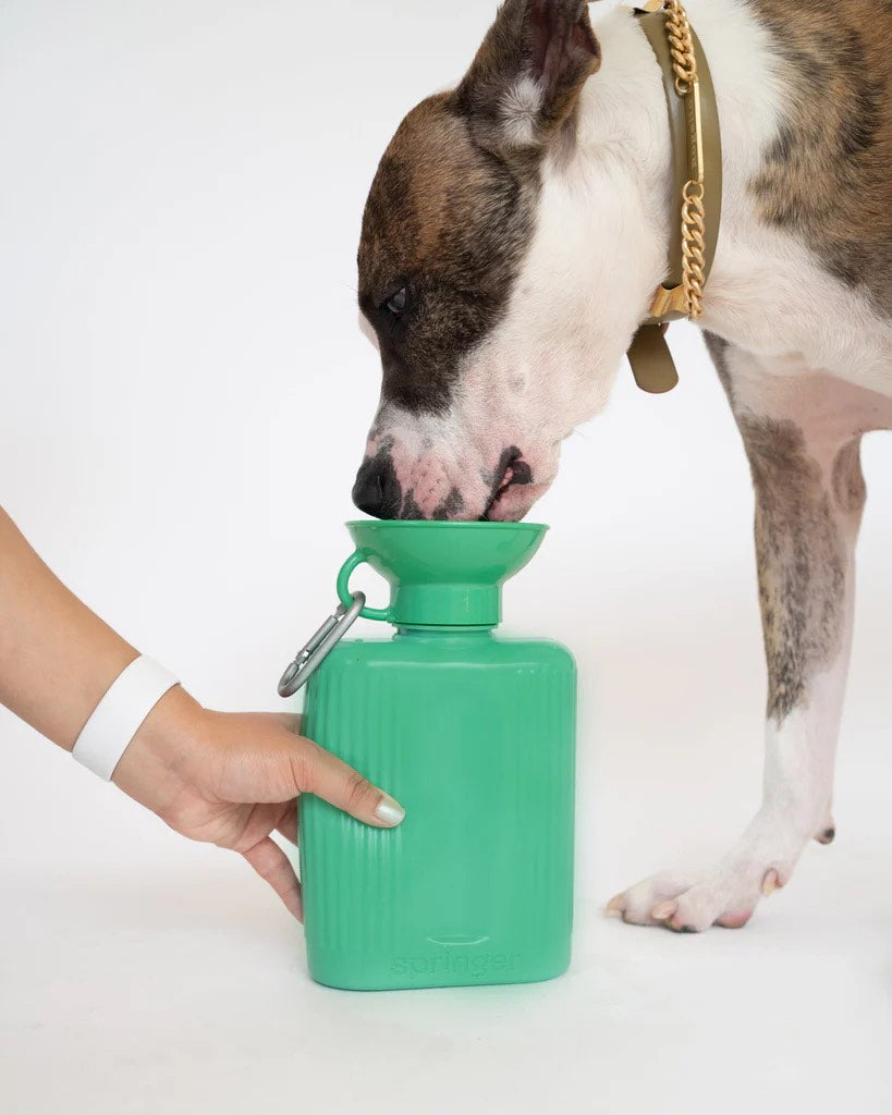 Springer Growler Dog Travel Water Bottle (Grey) | Kohepets