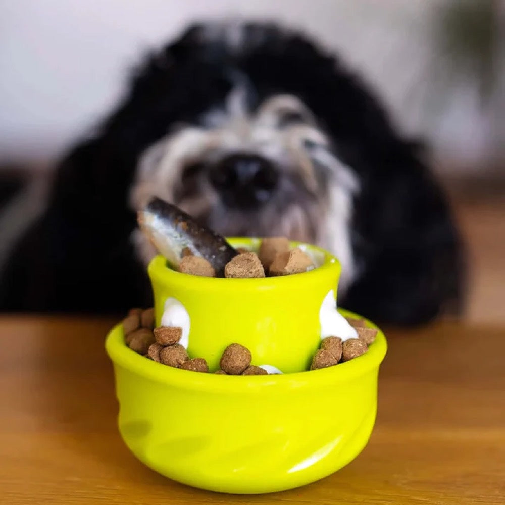 Totally Pooched Puzzle'n Play Mushroom Dog Toy (Green) | Kohepets