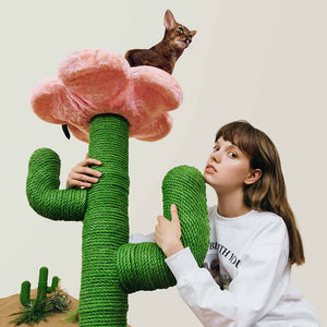VETRESKA Singapore | Kohepets