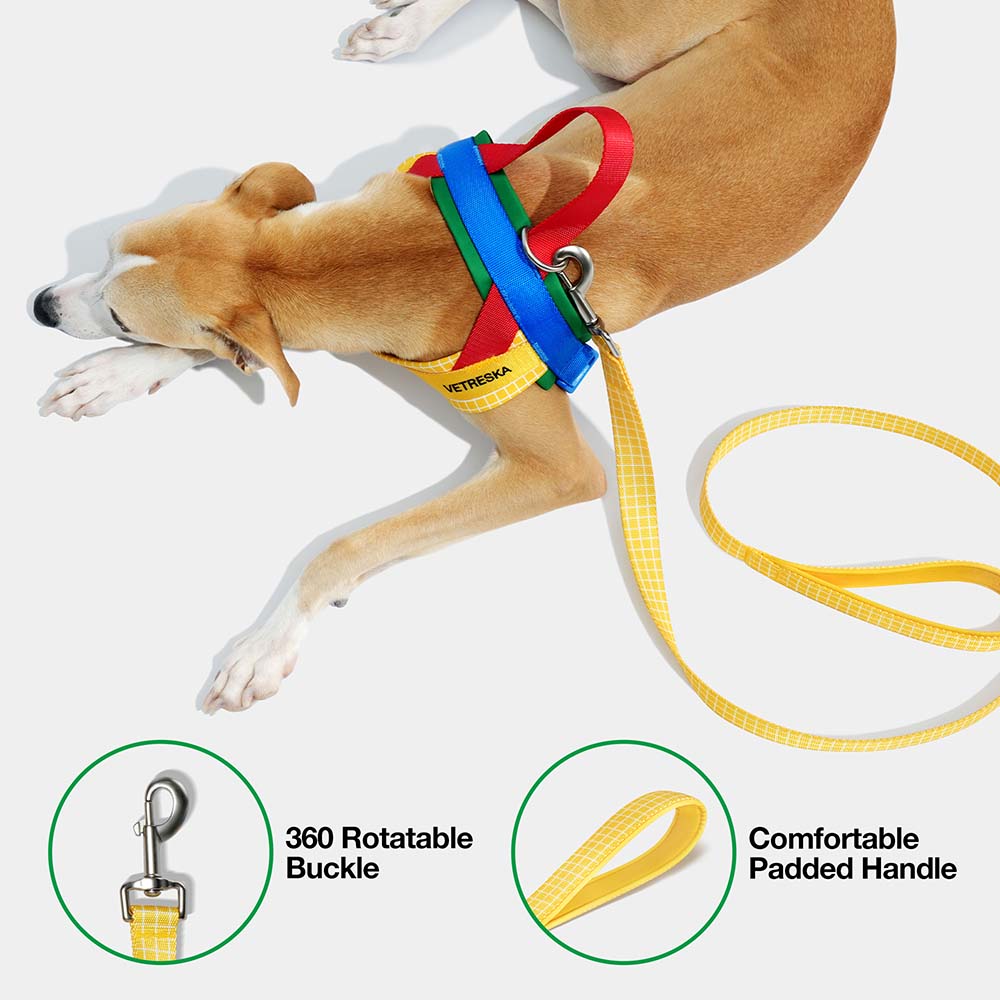 VETRESKA Chroma Dog Harness & Leash Set (Yellow) | Kohepets