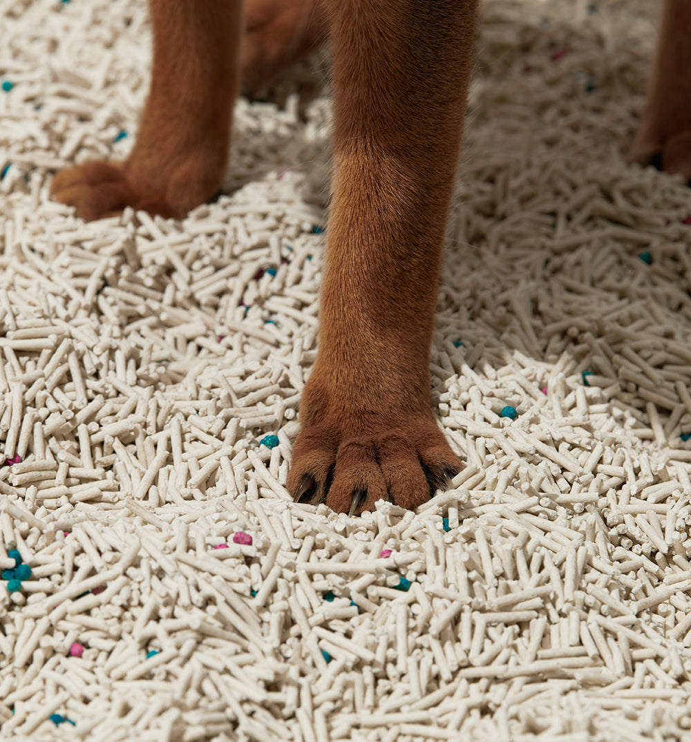 VETRESKA Deodorant Tofu Oasis Cactus Clumping Cat Litter 2.5kg | Kohepets