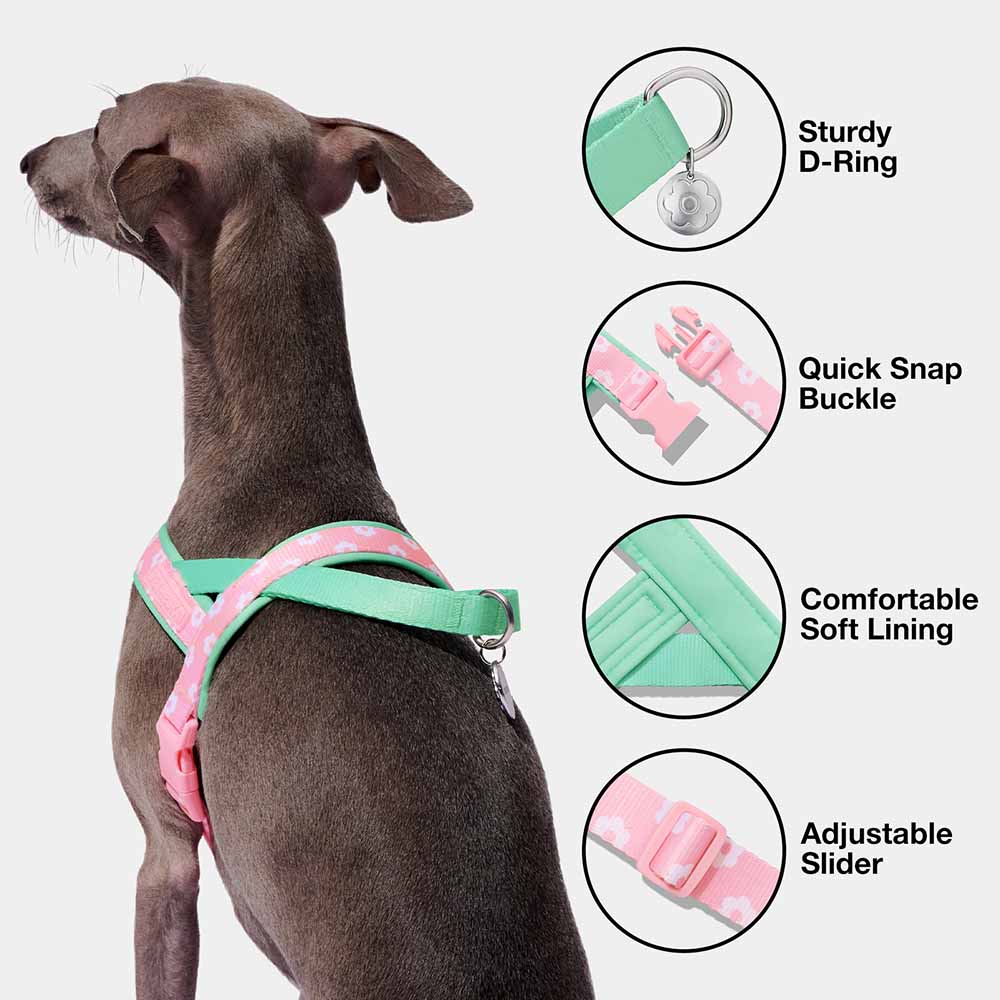 VETRESKA Flora Dog Harness & Leash Set | Kohepets