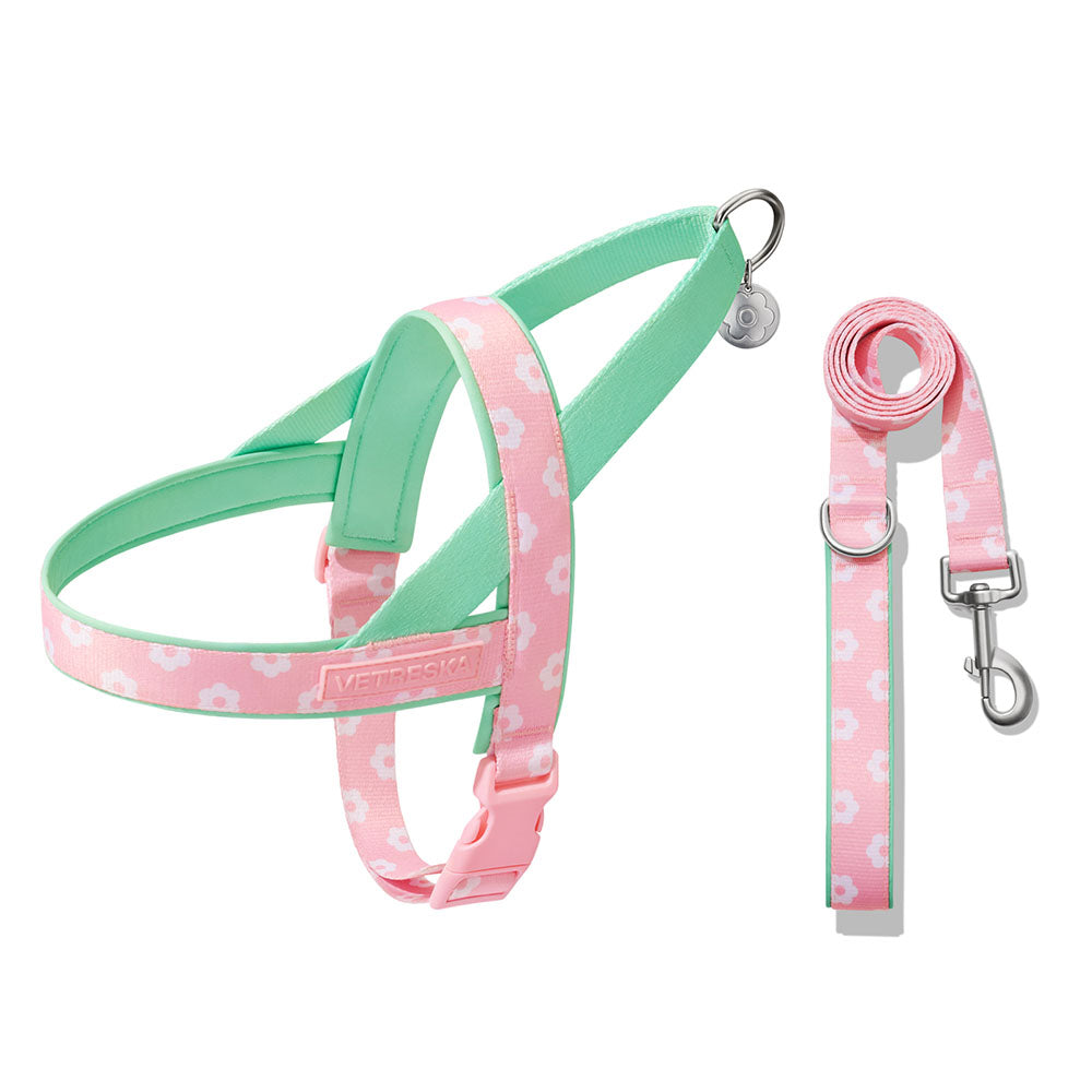 VETRESKA Flora Dog Harness & Leash Set | Kohepets