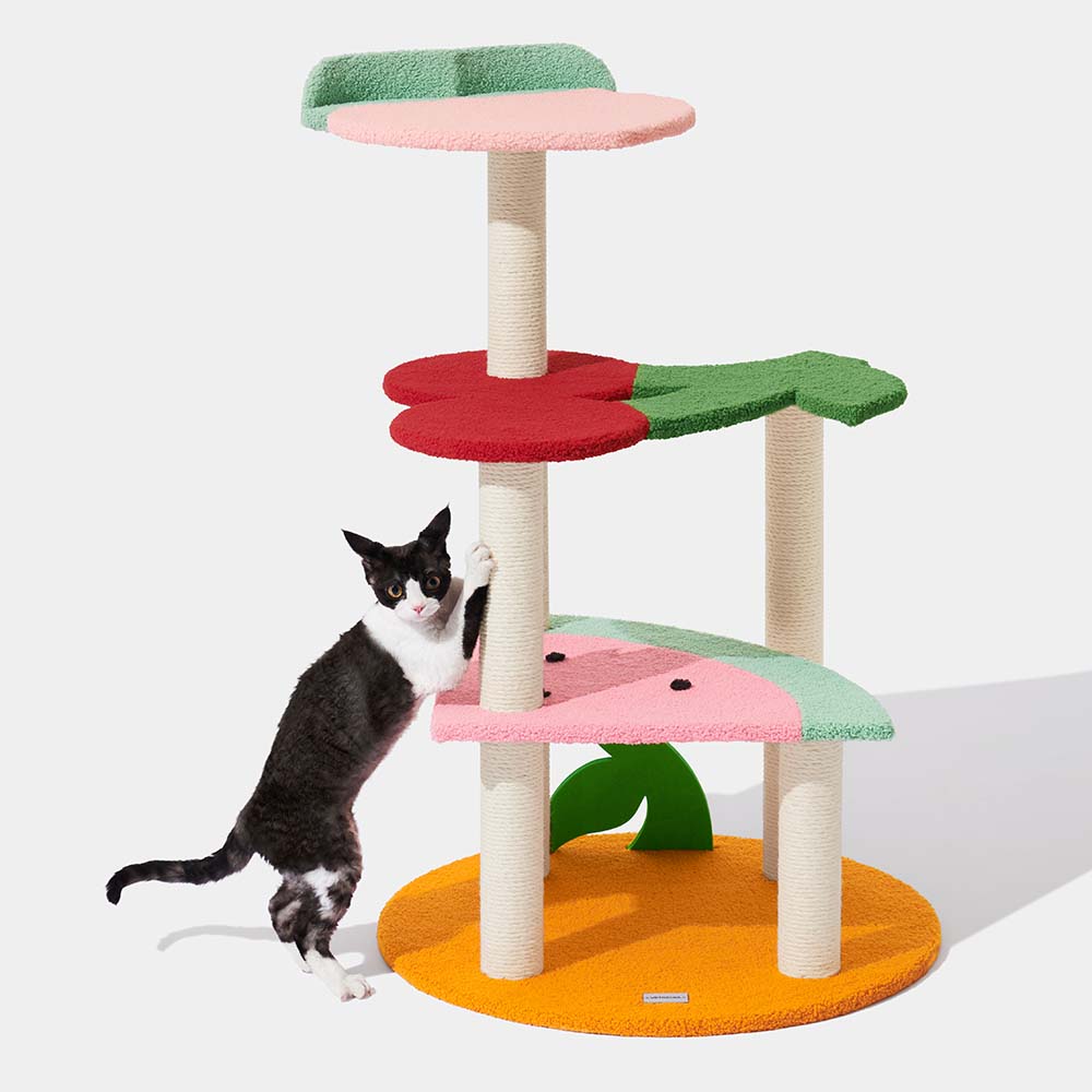 VETRESKA Fruit Frenzy Cat Tree | Kohepets