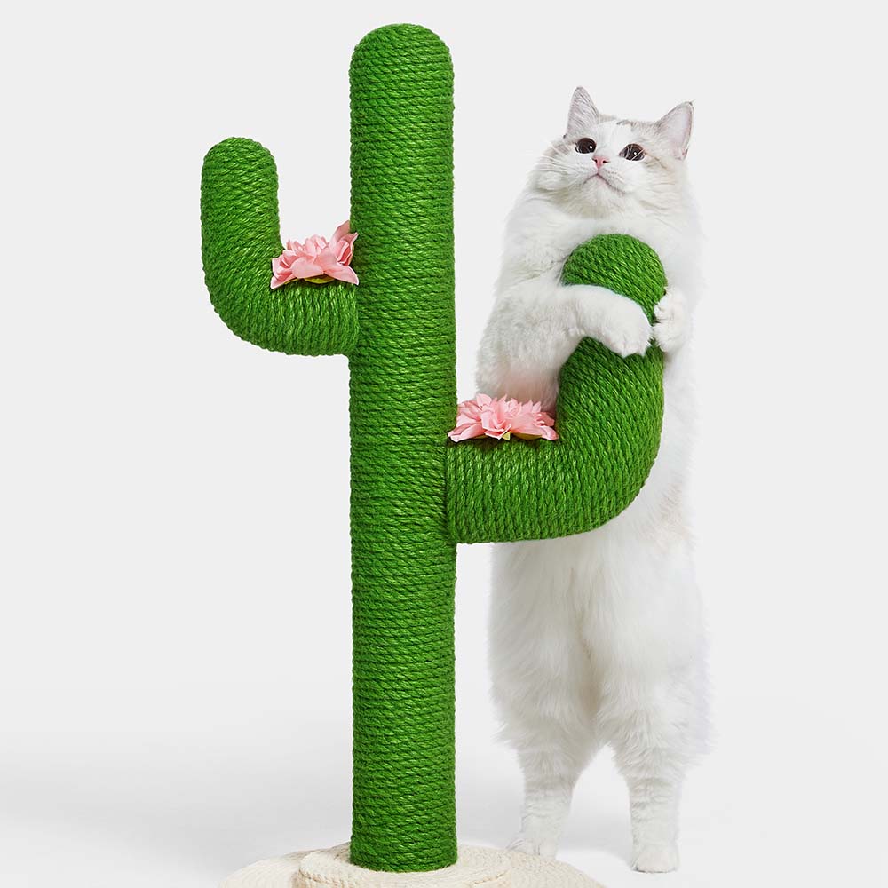 VETRESKA Oasis Cactus Mini Cat Tree | Kohepets