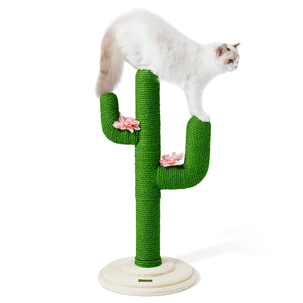 VETRESKA Oasis Cactus Mini Cat Tree | Kohepets