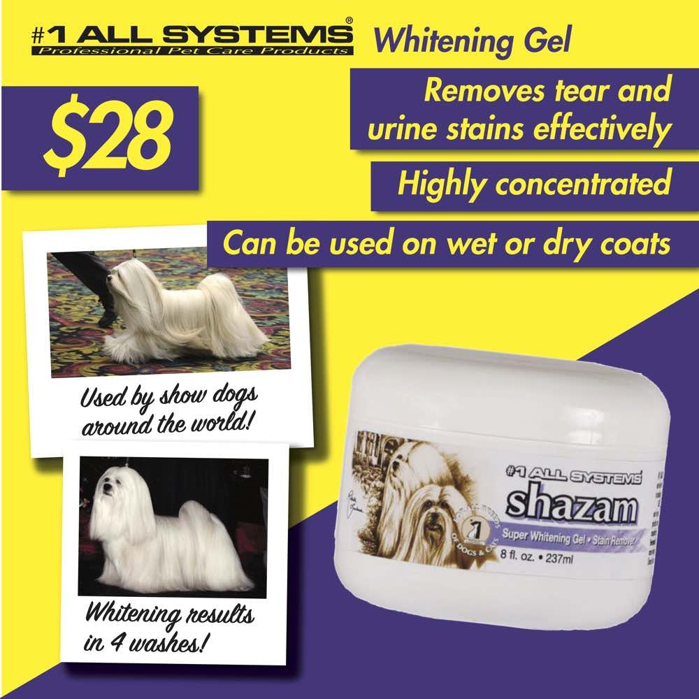 #1 All Systems SHAZAM Pet Whitening Gel 8oz | Kohepets